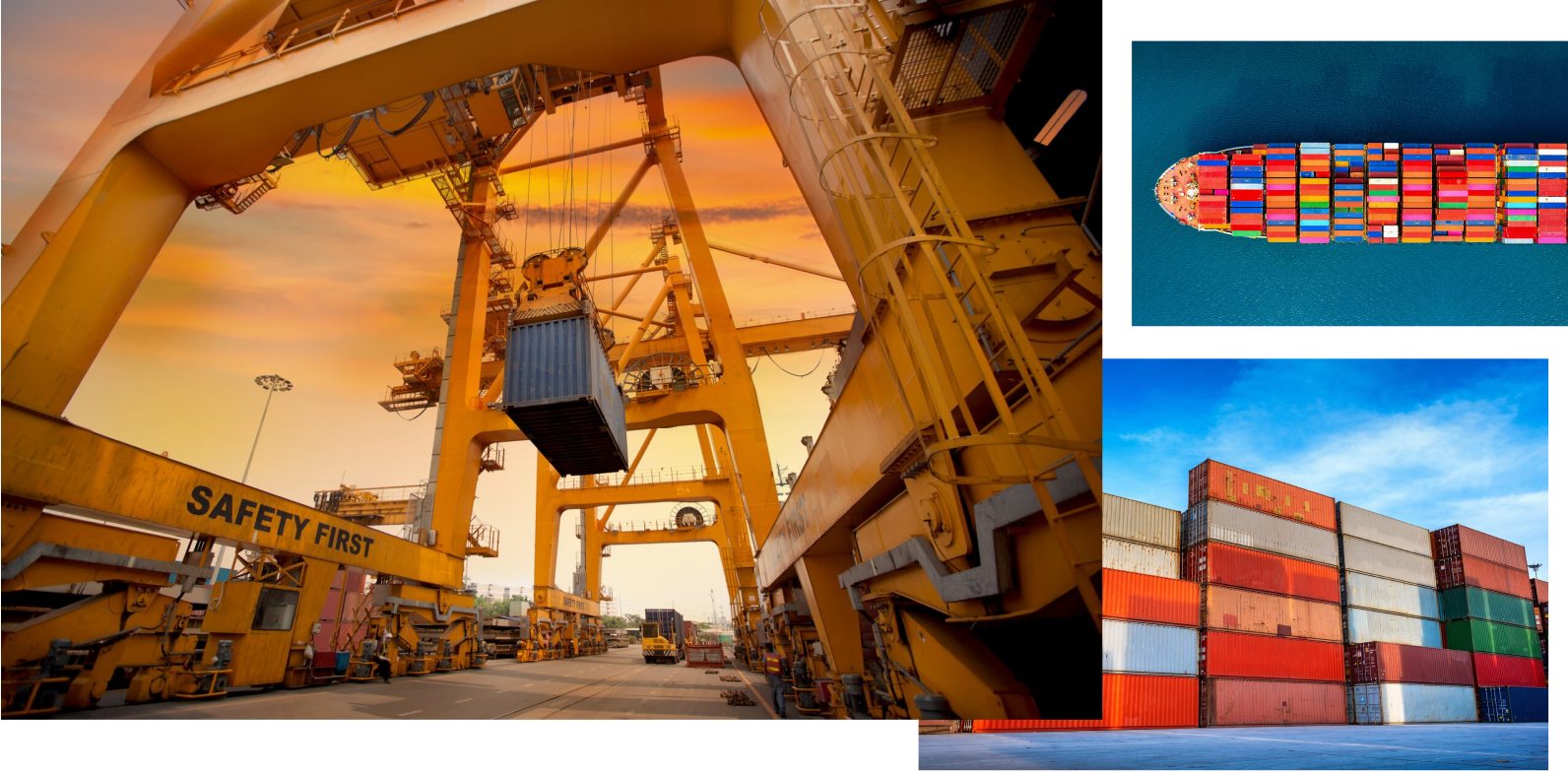 Cargo World Network